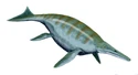 List of ichthyosaurs | Fossil Wiki | Fandom