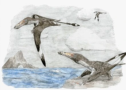 Dearc | Wiki Dinosaurios y Prehistoria | Fandom