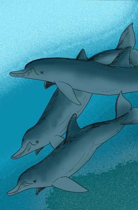 Australodelphis | Fossil Wiki | Fandom