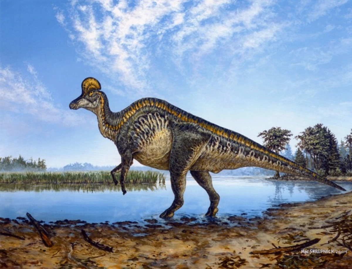 Corythosaurus | Fossil Wiki | Fandom
