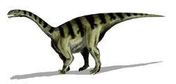 Sellosaurus | Fossil Wiki | Fandom