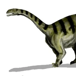 Sellosaurus