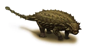 Saichania | Fossil Wiki | Fandom