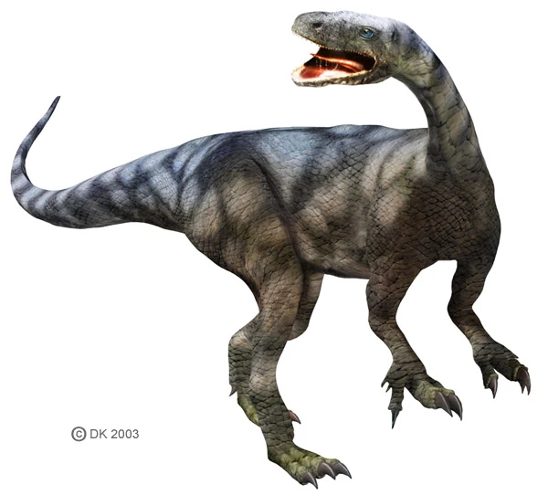 Palaeosaurus | Fossil Wiki | Fandom