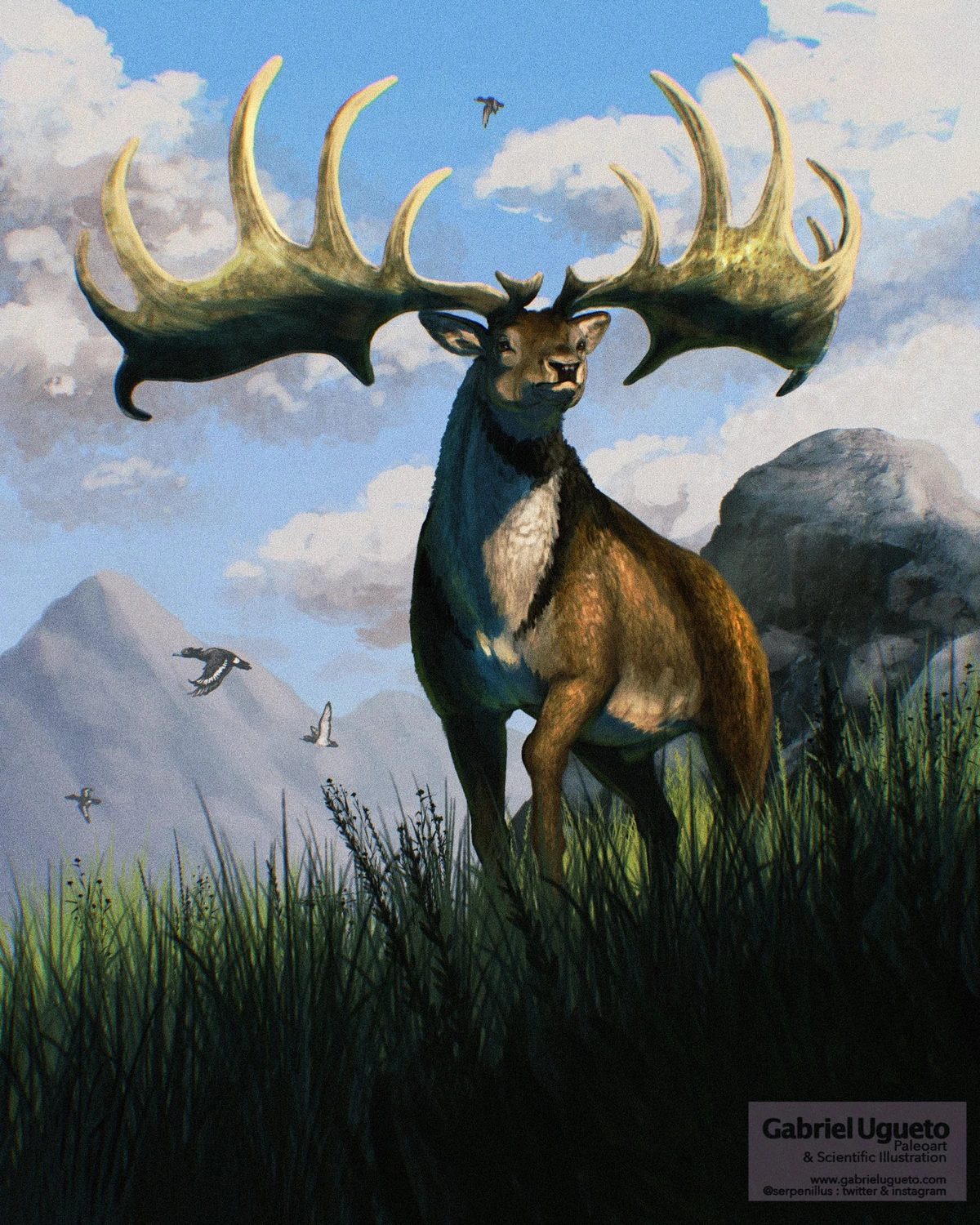 irish deer extinct