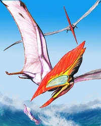 Albian | Fossil Wiki | Fandom