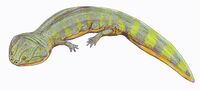 List of prehistoric amphibians | Fossil Wiki | Fandom