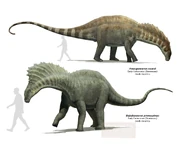 Bajadasaurus | Fossil Wiki | Fandom