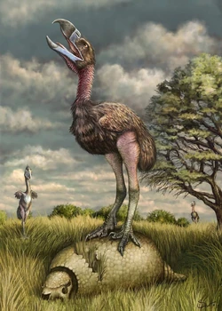 phorusrhacos size