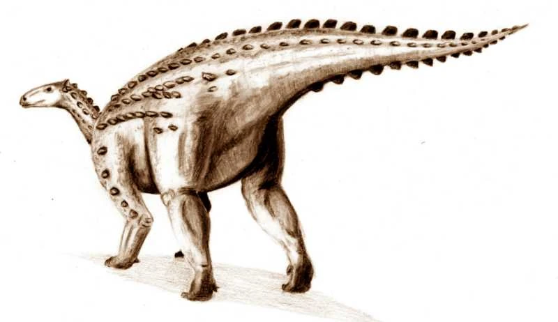 Scelidosaurus | Fossil Wiki | Fandom