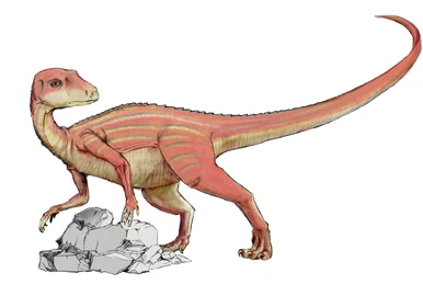 abrosaurus skeletal