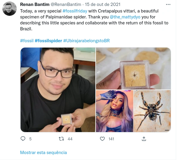 Cretapalpus vittari | Fossil Wiki | Fandom