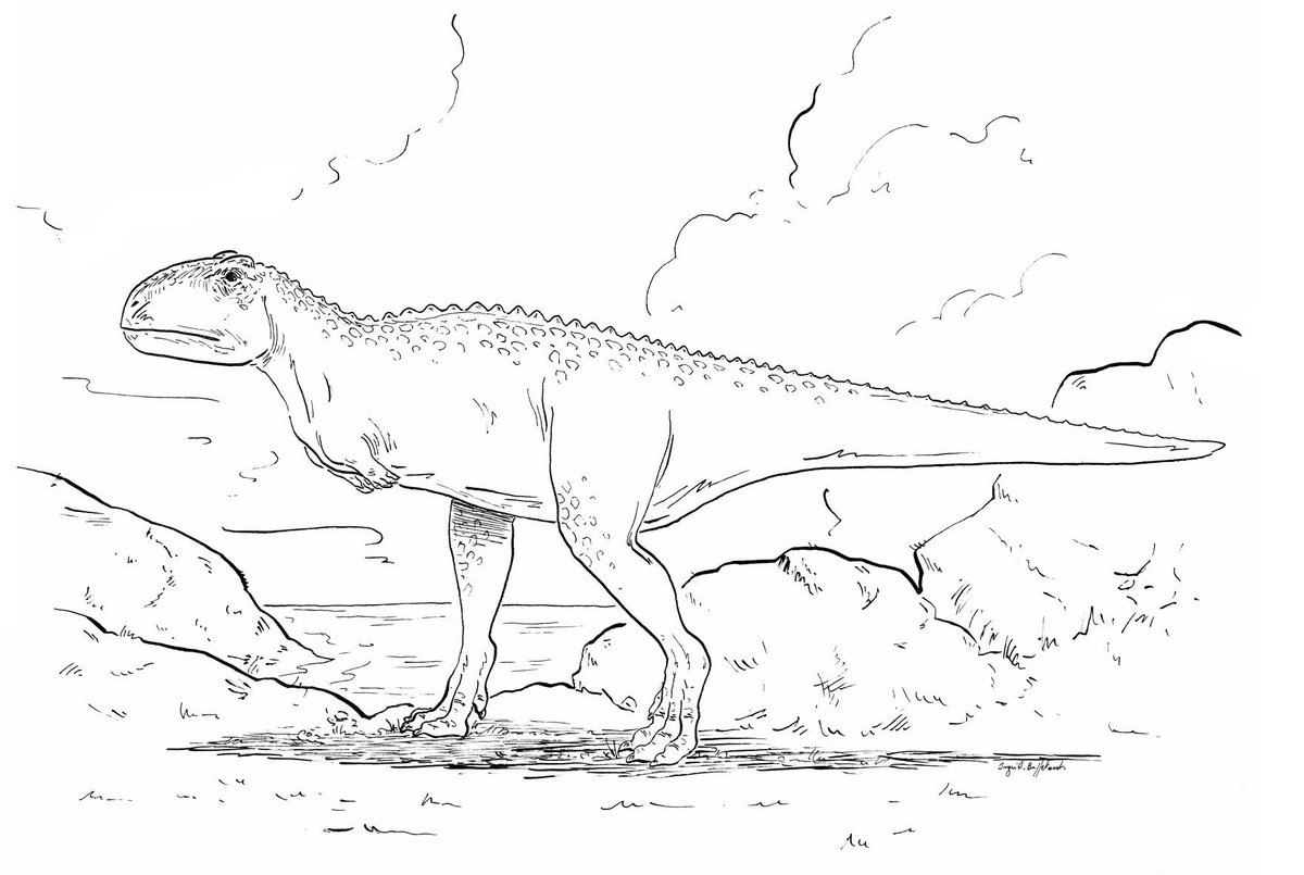 Caletodraco | Fossil Wiki | Fandom