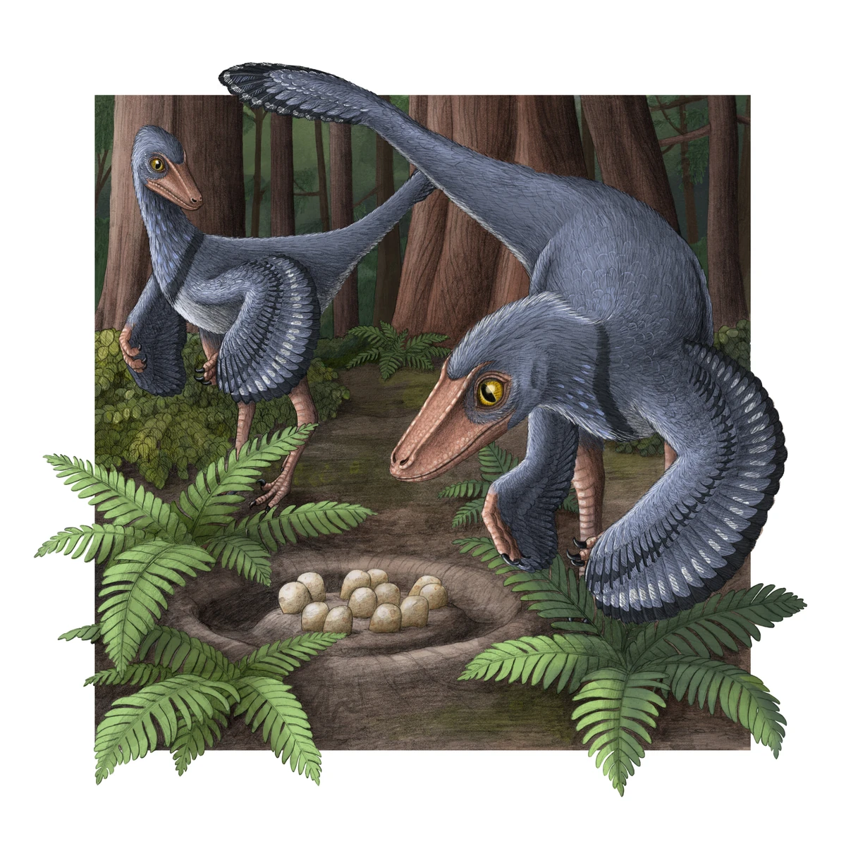 Troodon | Fossil Wiki | Fandom
