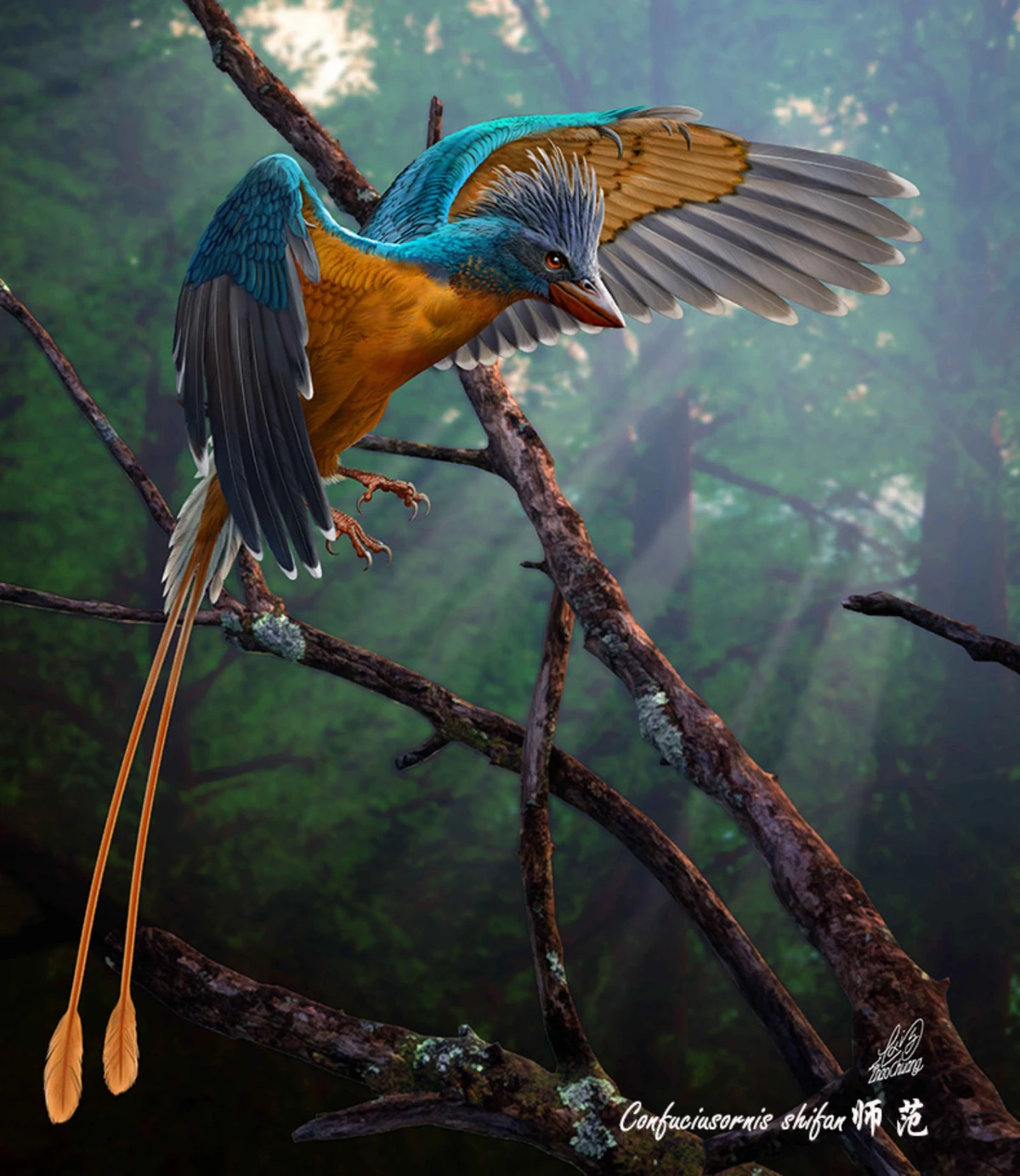 Category:Prehistoric birds of Asia | Fossil Wiki | Fandom
