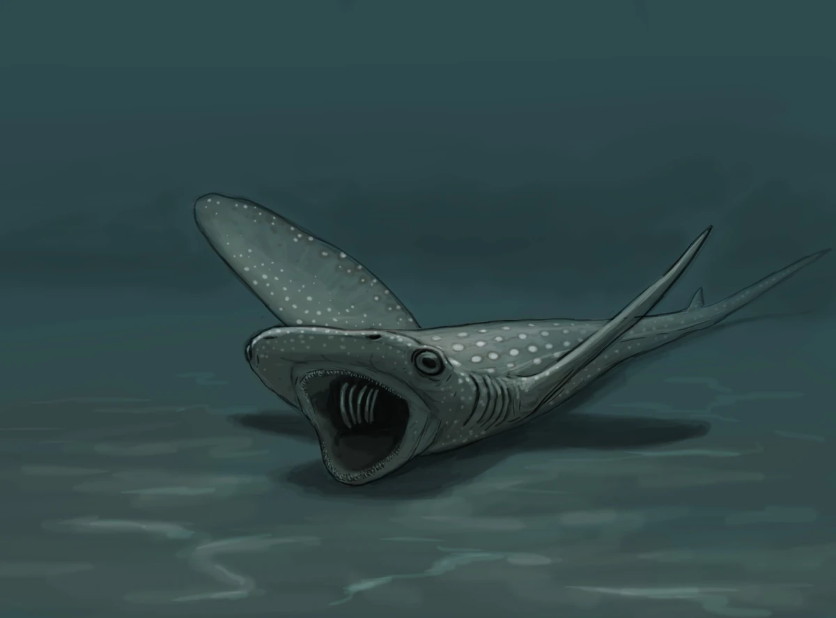 Squatinactis | Fossil Wiki | Fandom