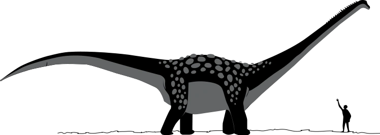 Anacleto Formation | Fossil Wiki | Fandom