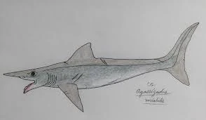 Agassizodus | Fossil Wiki | Fandom