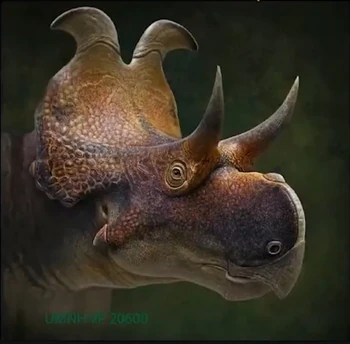 UMNH VP 20600 | Fossil Wiki | Fandom