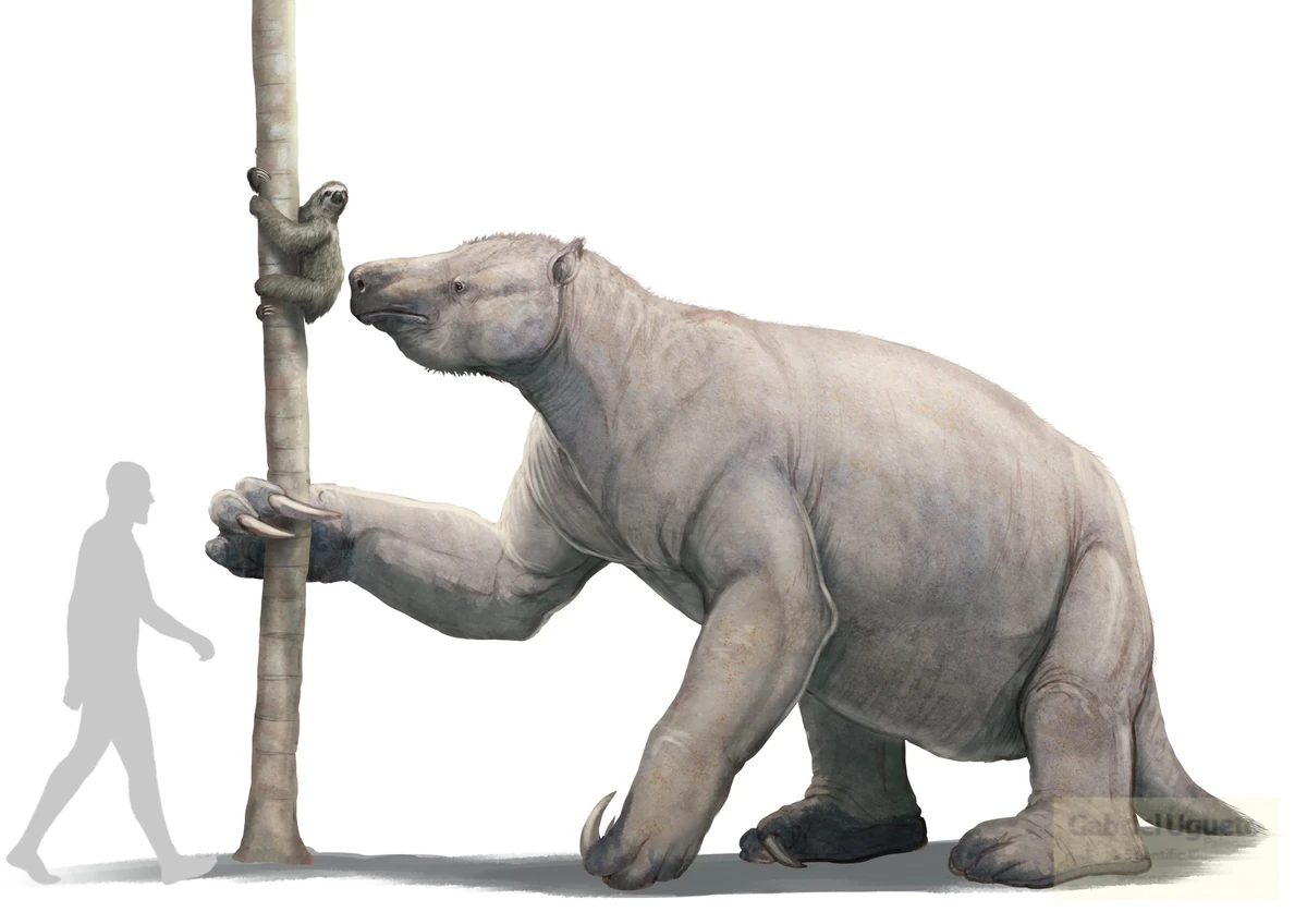 Eremotherium | Fossil Wiki | Fandom