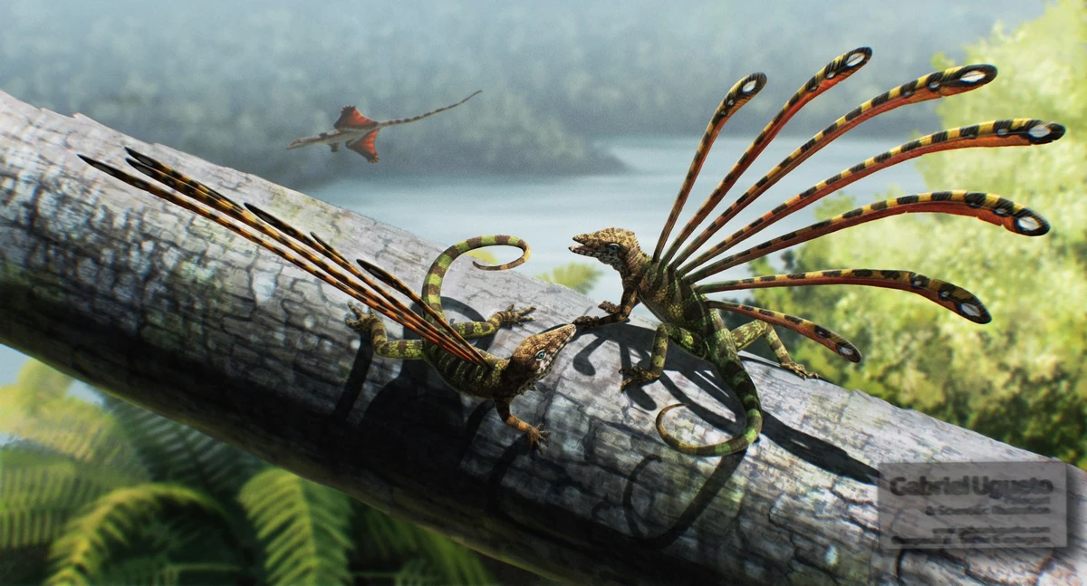 Longisquama | Fossil Wiki | Fandom