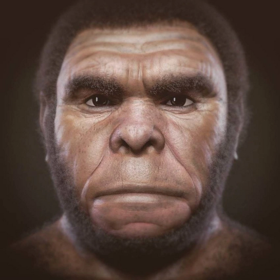 Homo rhodesiensis | Fossil Wiki | Fandom