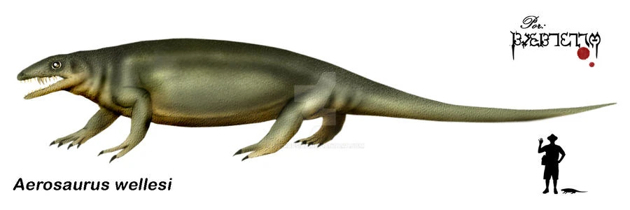 Aerosaurus | Fossil Wiki | Fandom