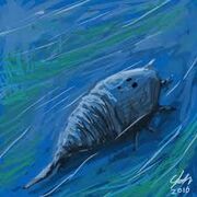 Hibbertopterus | Fossil Wiki | Fandom