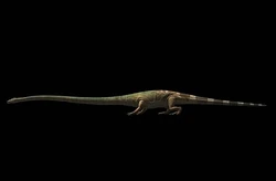 Protorosauria | Fossil Wiki | Fandom