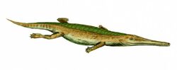 Teleosauridae | Fossil Wiki | Fandom