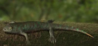 List of prehistoric amphibians | Fossil Wiki | Fandom