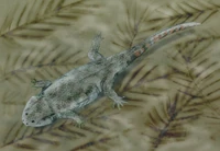 List of prehistoric amphibians | Fossil Wiki | Fandom