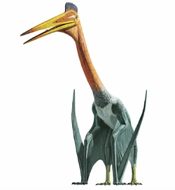 Fossiel Van Quetzalcoatlus