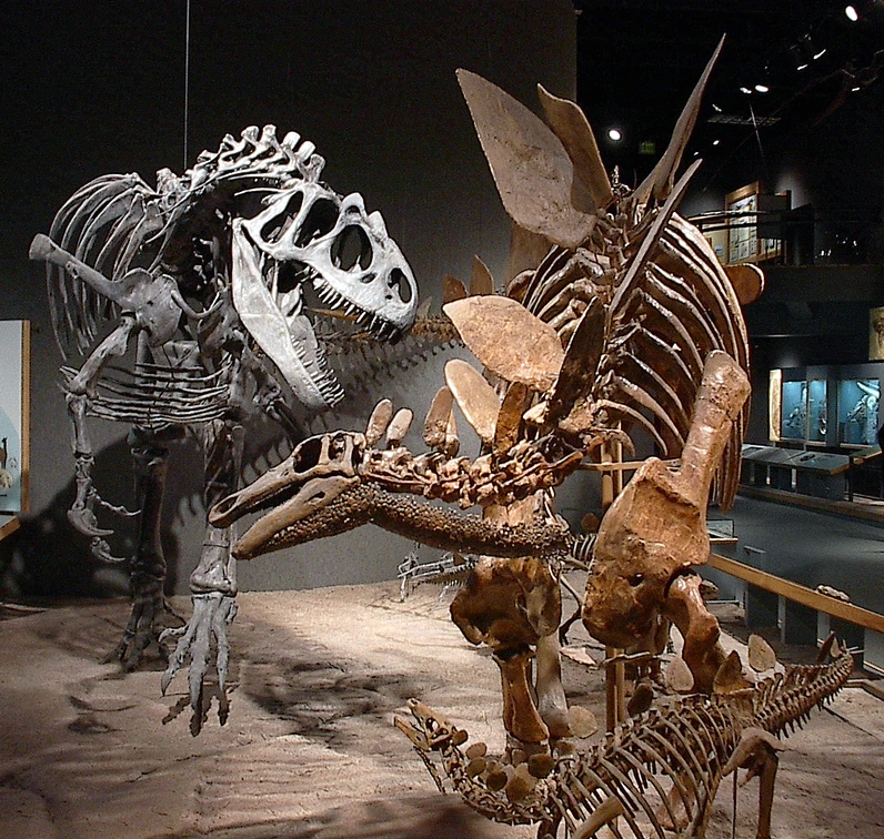 Allosaurus | Wiki Dinosaurios y Prehistoria | Fandom