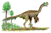 Gigantoraptor | Fossil Wiki | Fandom