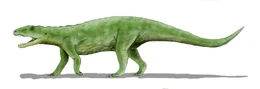 Poposauridae | Fossil Wiki | Fandom