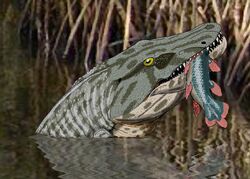 Loxommatidae | Fossil Wiki | Fandom