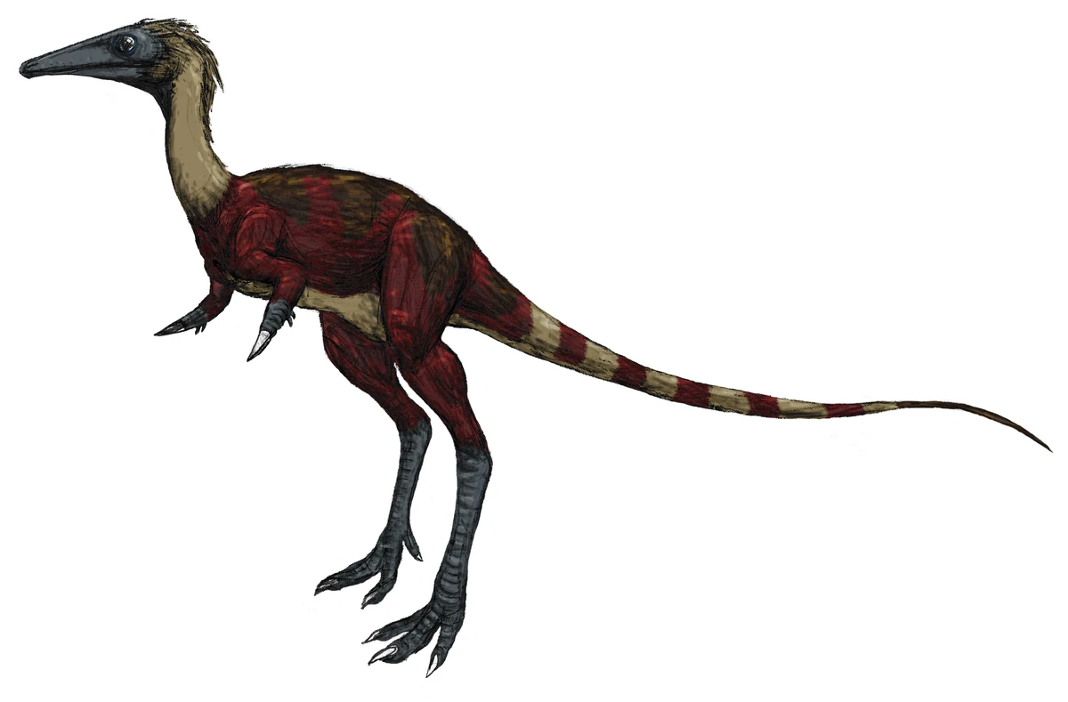 Shuvuuia | Fossil Wiki | Fandom