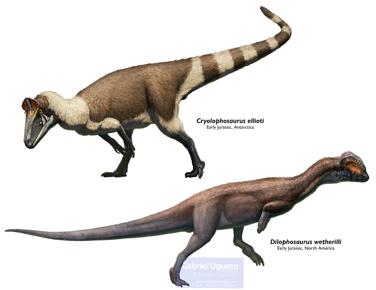 Cryolophosaurus | Fossil Wiki | Fandom