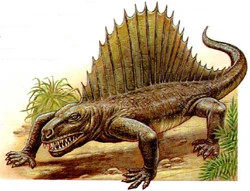Neosaurus | Fossil Wiki | Fandom
