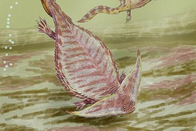 Stethacanthus Fossil