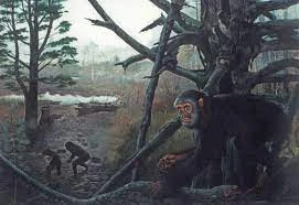 Oreopithecus | Fossil Wiki | Fandom