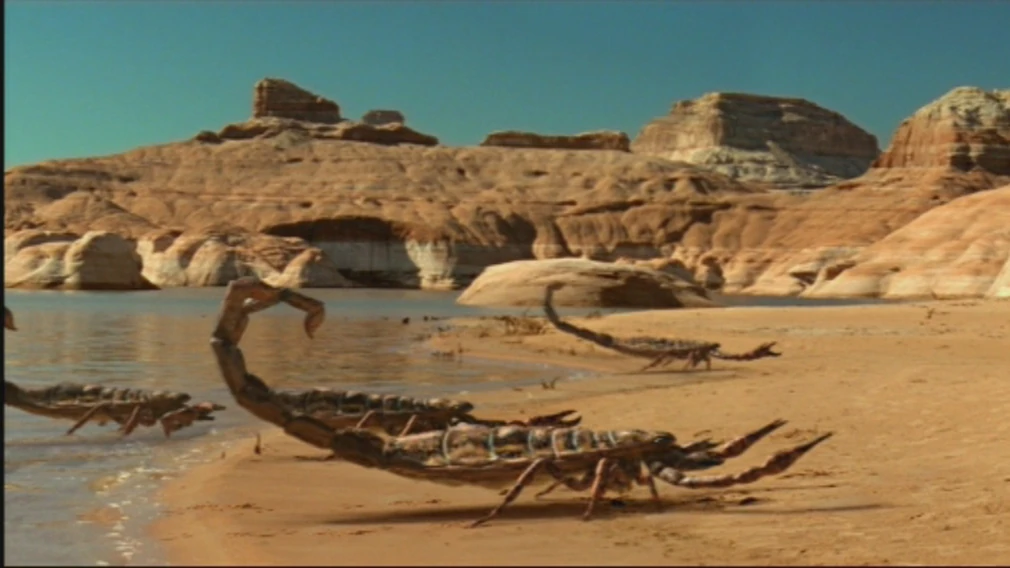 Brontoscorpio | Fossil Wiki | Fandom