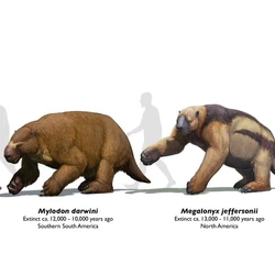 pleistocene animals