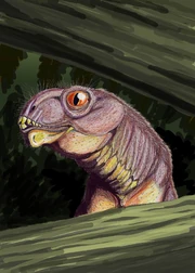 Anomodontia | Fossil Wiki | Fandom