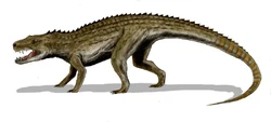 Postosuchus | Fossil Wiki | Fandom