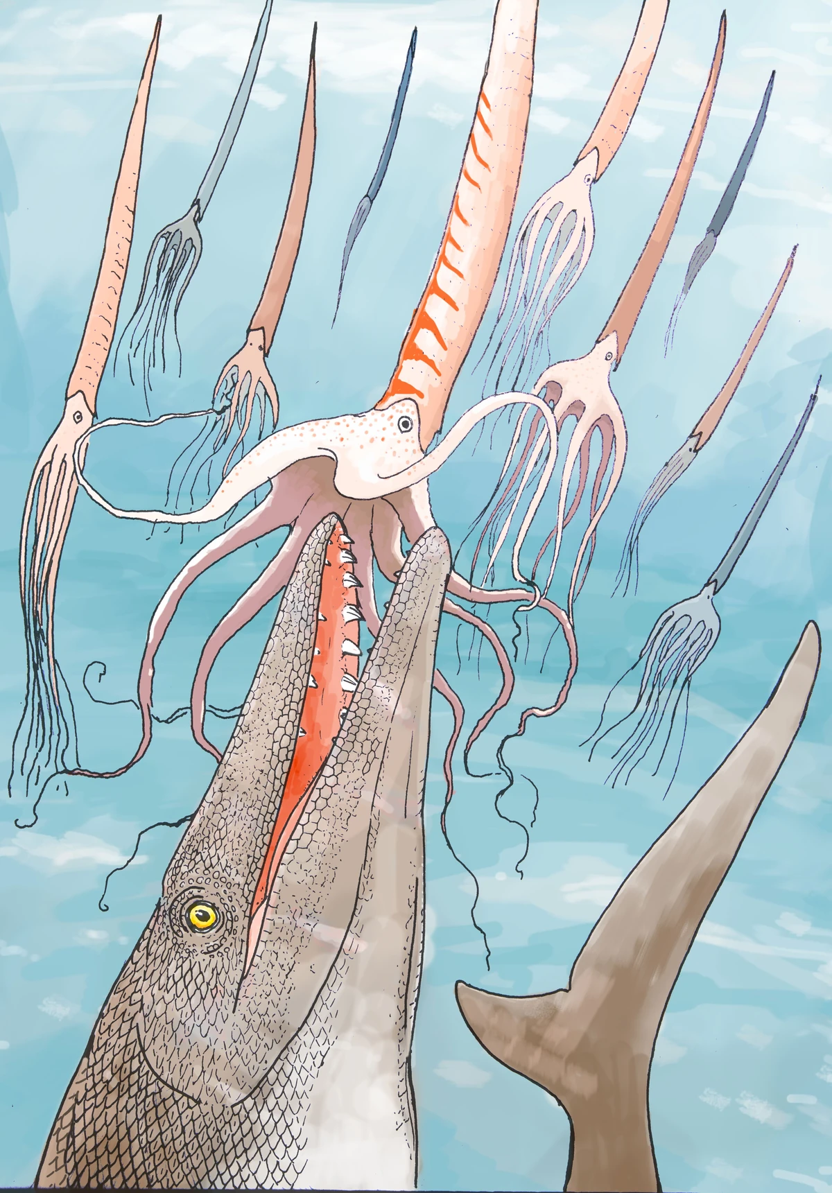 Stelladens | Fossil Wiki | Fandom