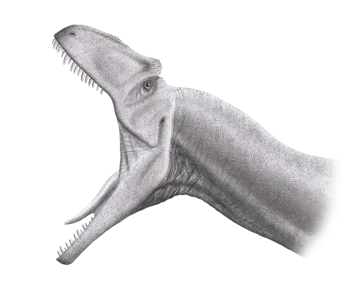 Dinosaurs of Taiwan | Fossil Wiki | Fandom