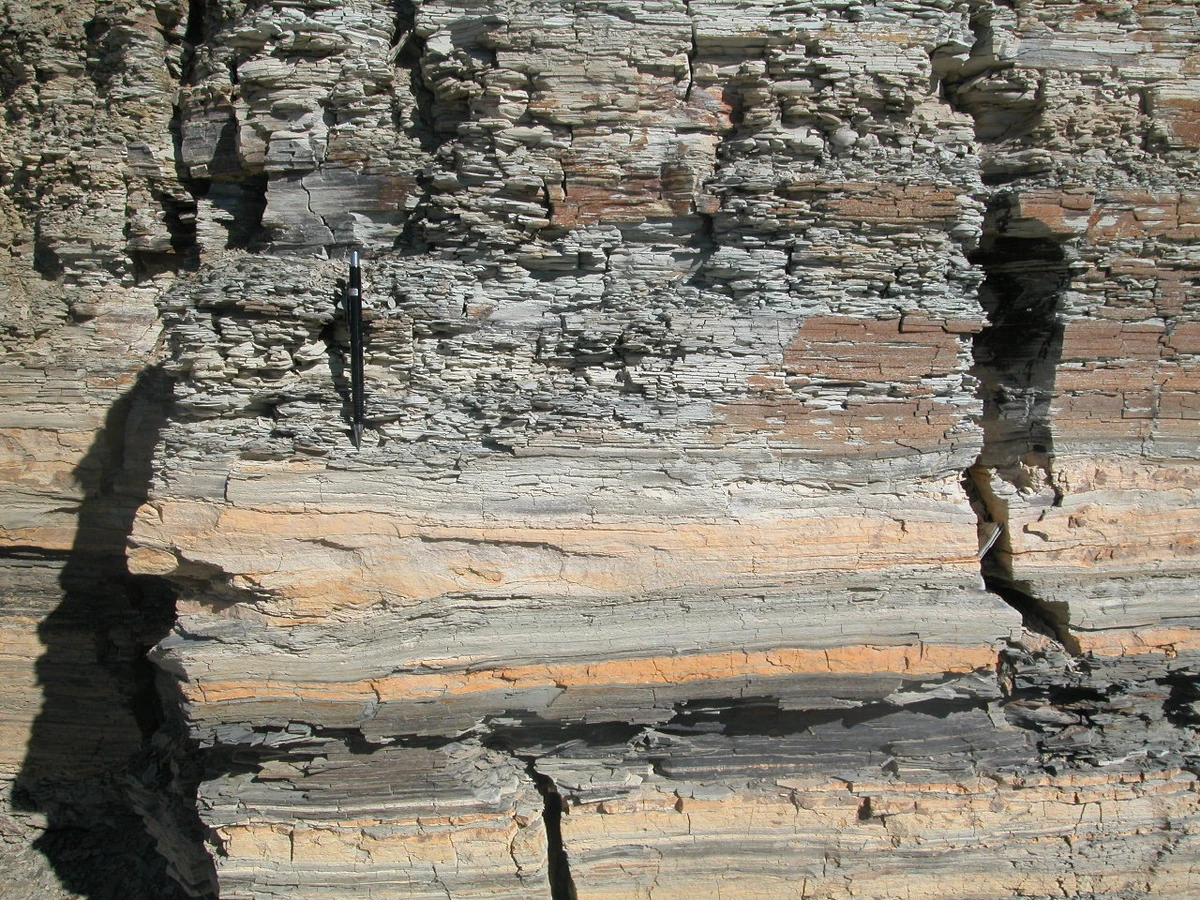 Green River Formation | Fossil Wiki | Fandom