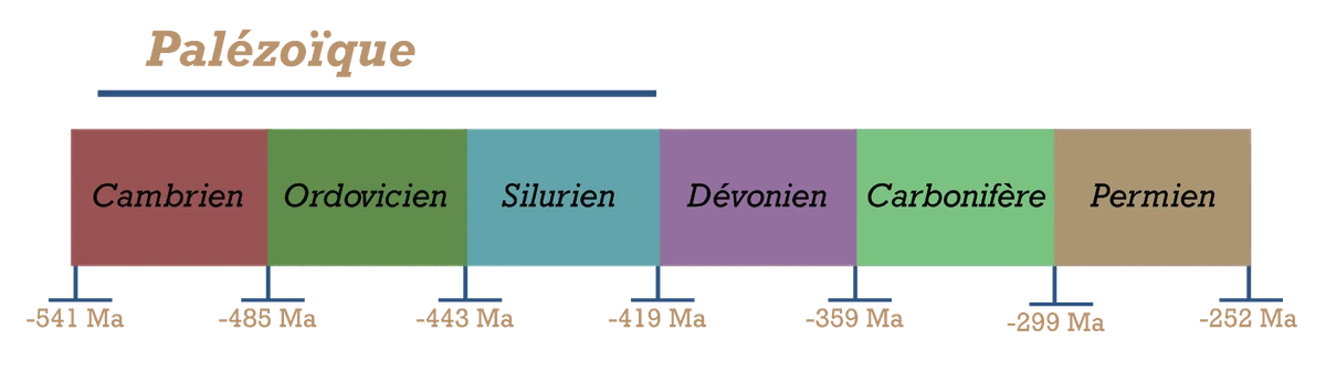 Frise chronologique des ères de l’évolution | Wiki Fossiles | Fandom